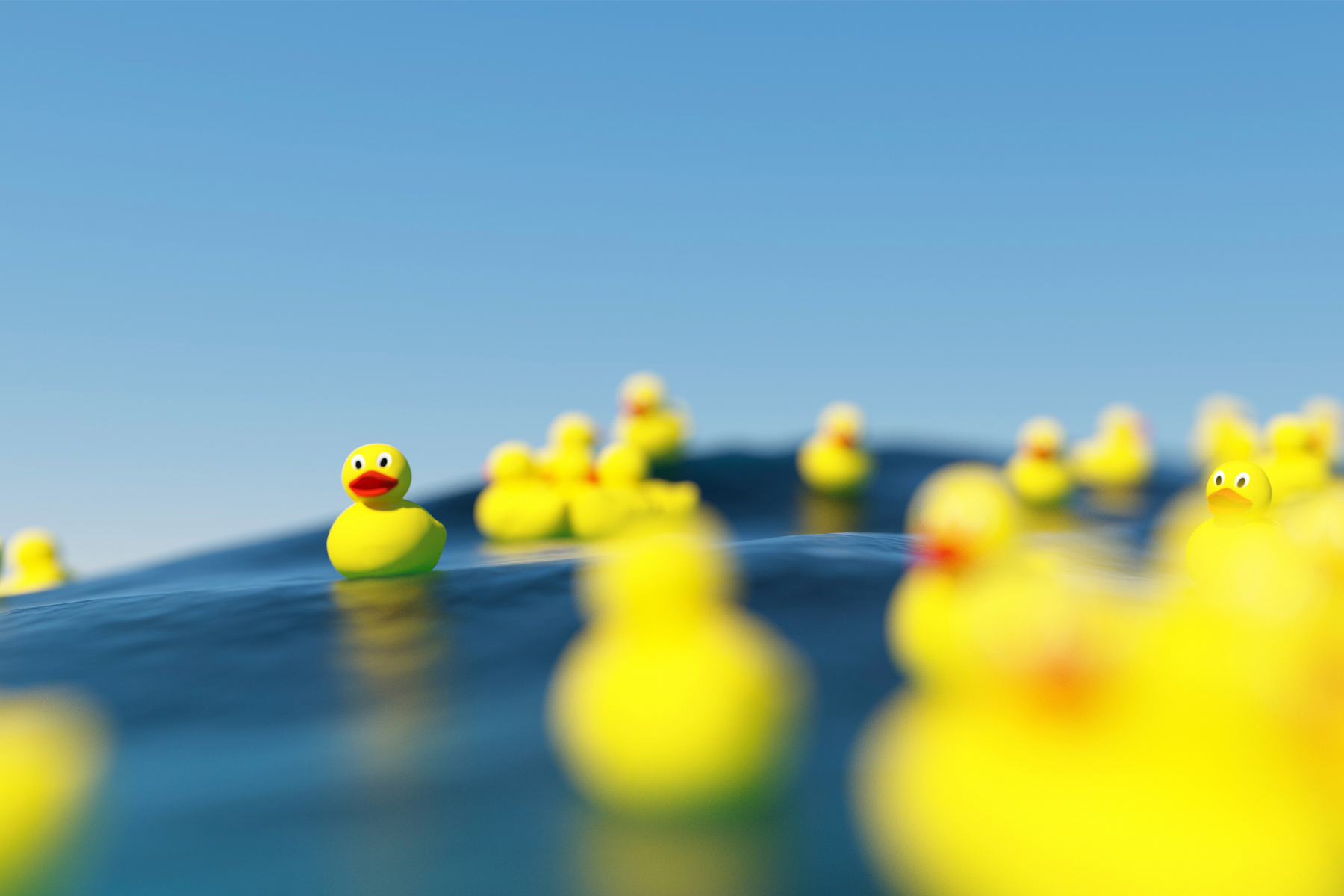 The floating rubber ducks in the ocean that teach us good lessons | VS ...